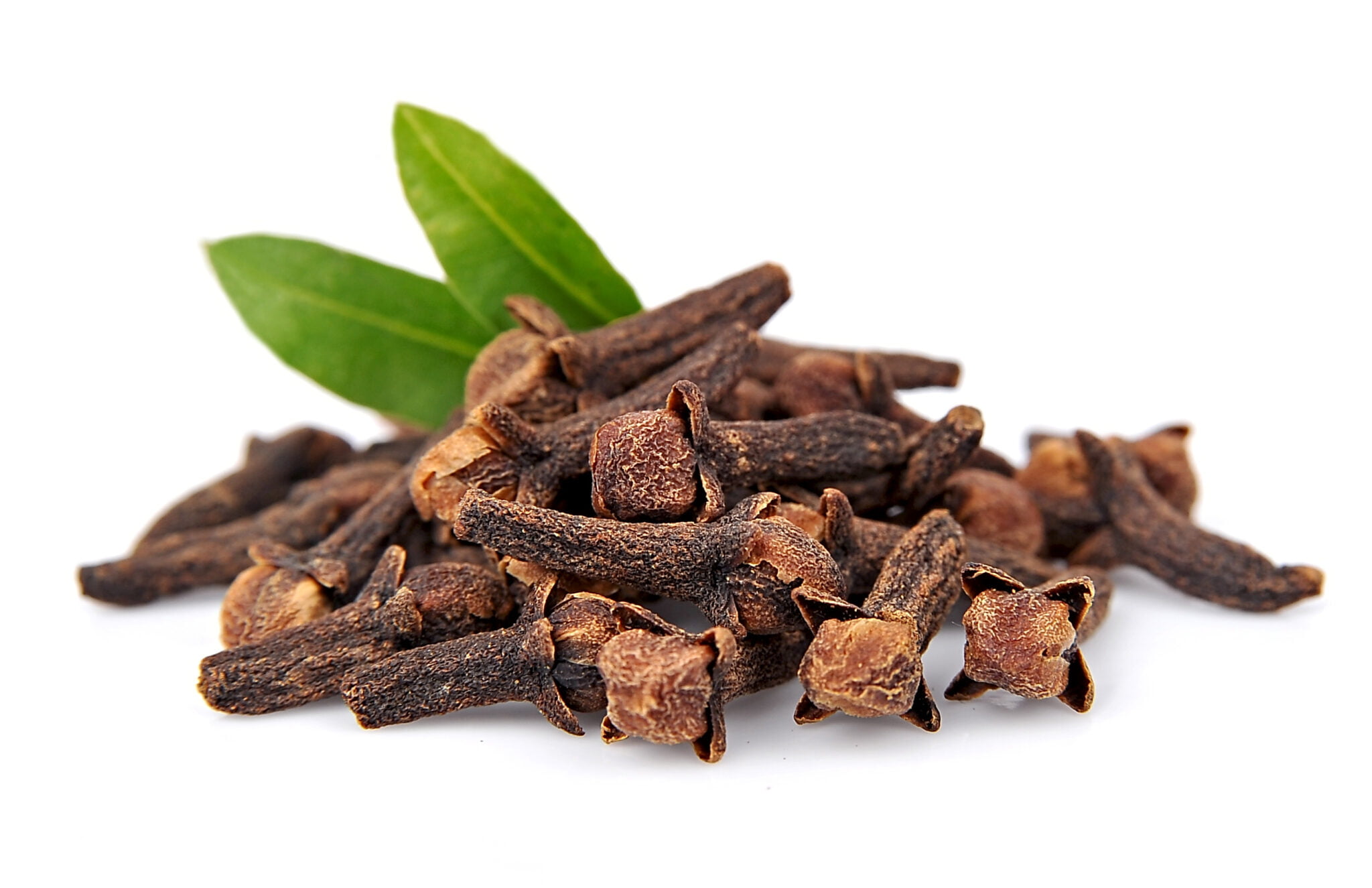 Ceylon Eco Spices